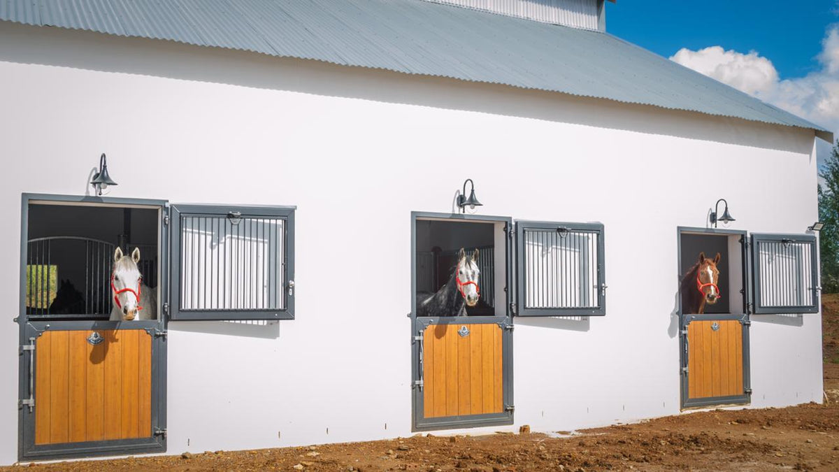 Stable & Paddocks – World of Horses