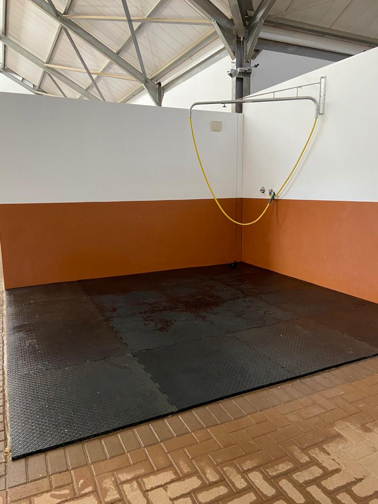 Wash Bay Horse Shower – World of Horses