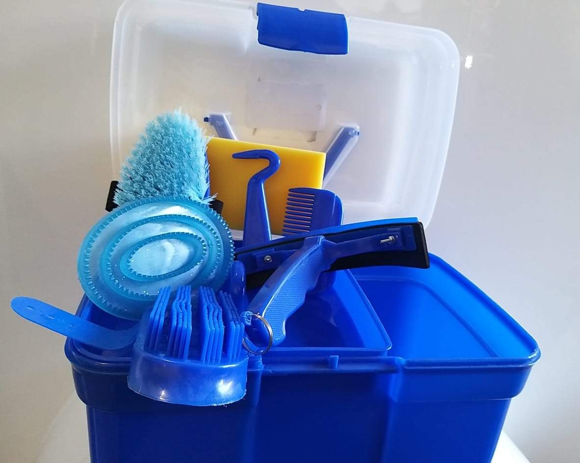 Saddle Up Grooming Kit Box – World of Horses