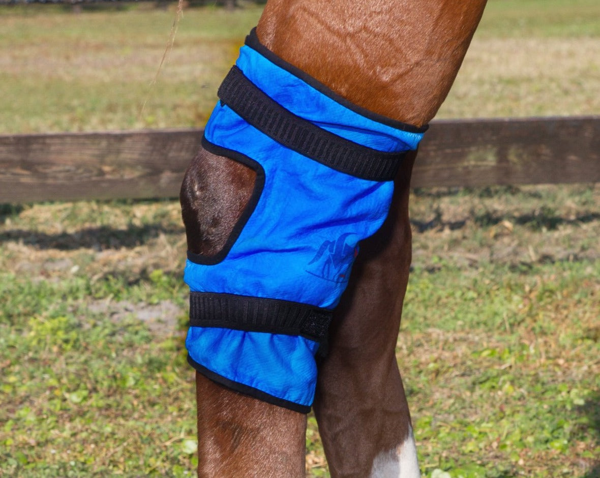 Equi Cool Down Hock Wraps – World of Horses